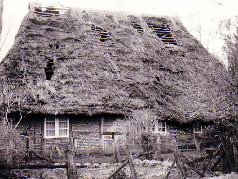 Dechow – DORF DECHOW