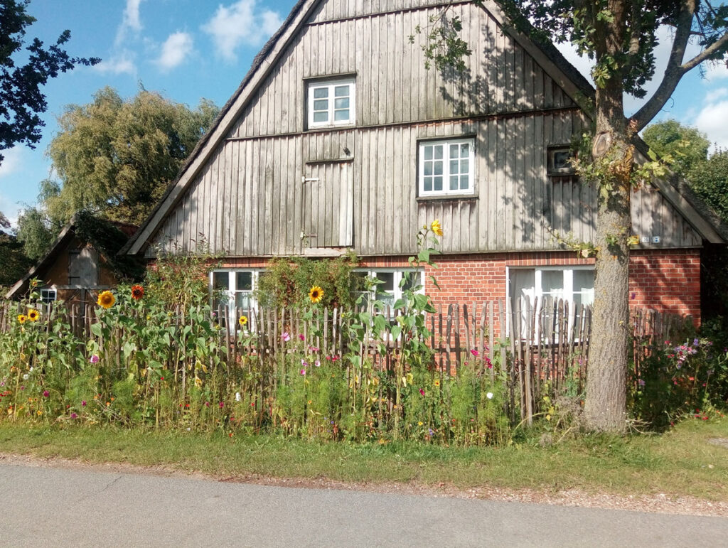 Dechow – DORF DECHOW